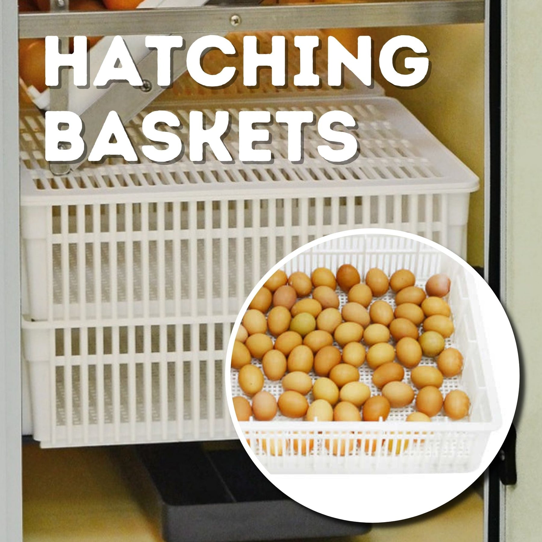 HB175 C - Egg Incubator - Setter & Hatcher – Stumphouse Farms
